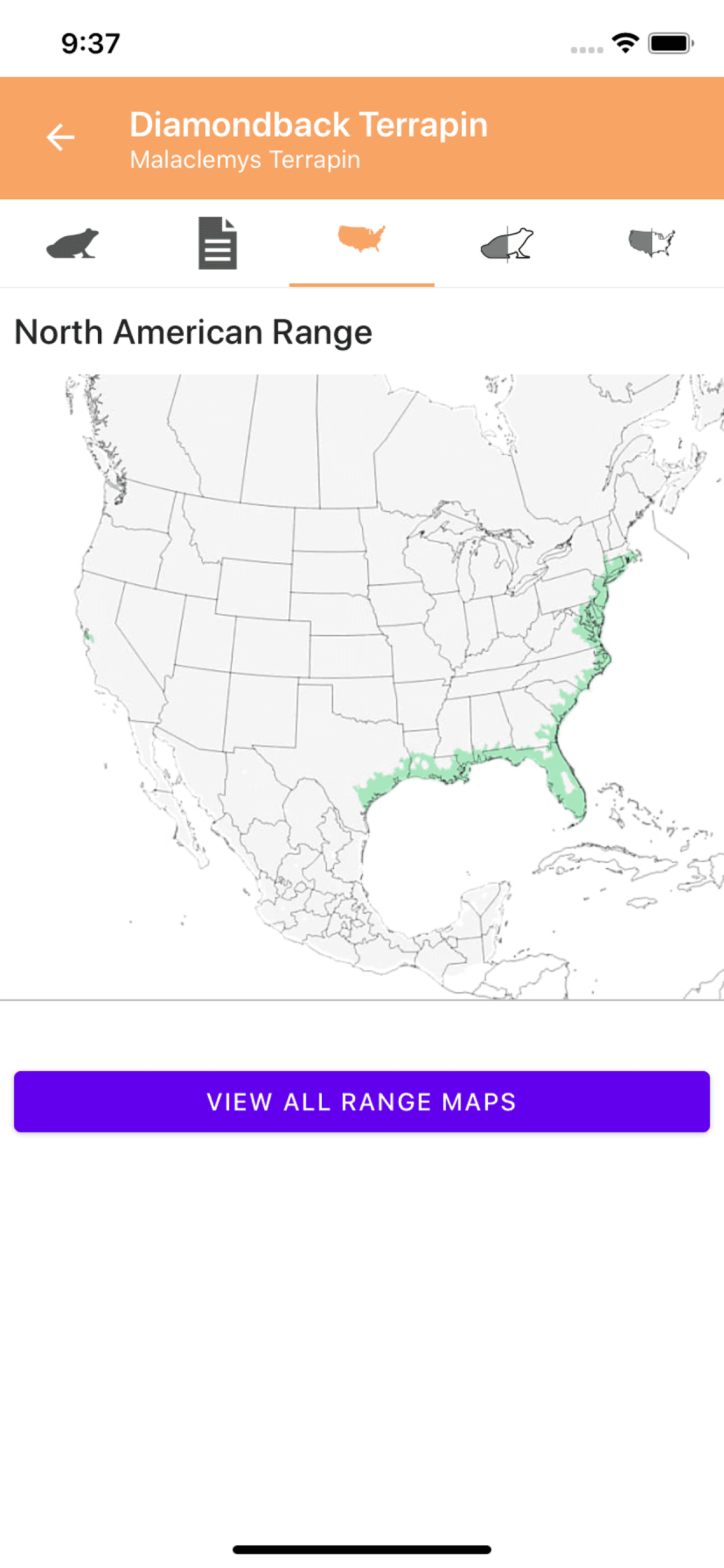 western threadsnake | rena humilis | Schechter Natural History