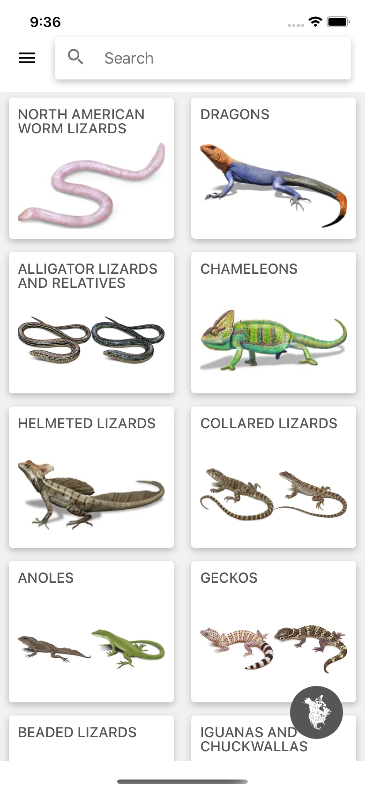 List Five Types Of Reptiles